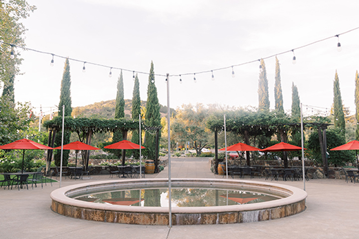 Sebastiani - A pioneering producer of Sonoma County wine