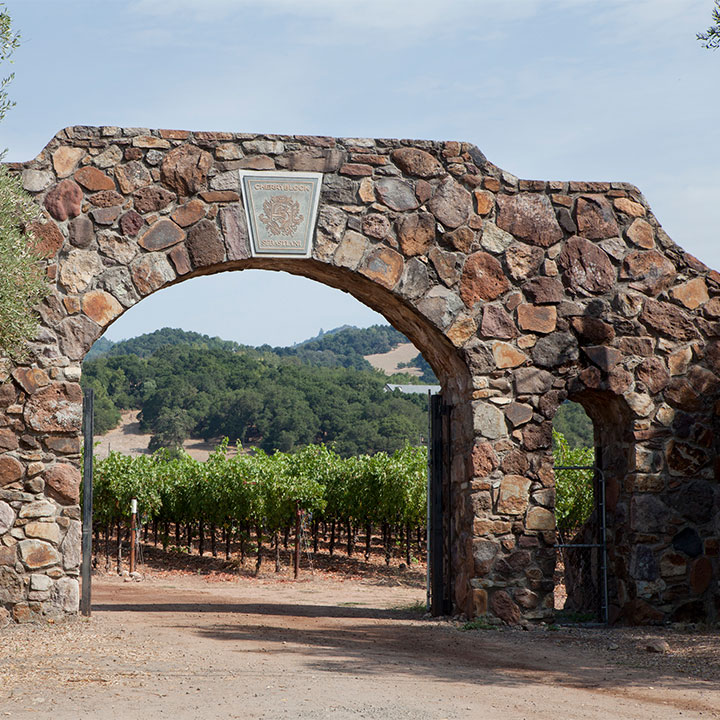 Sebastiani Cabernet Sauvignon - Sebastiani