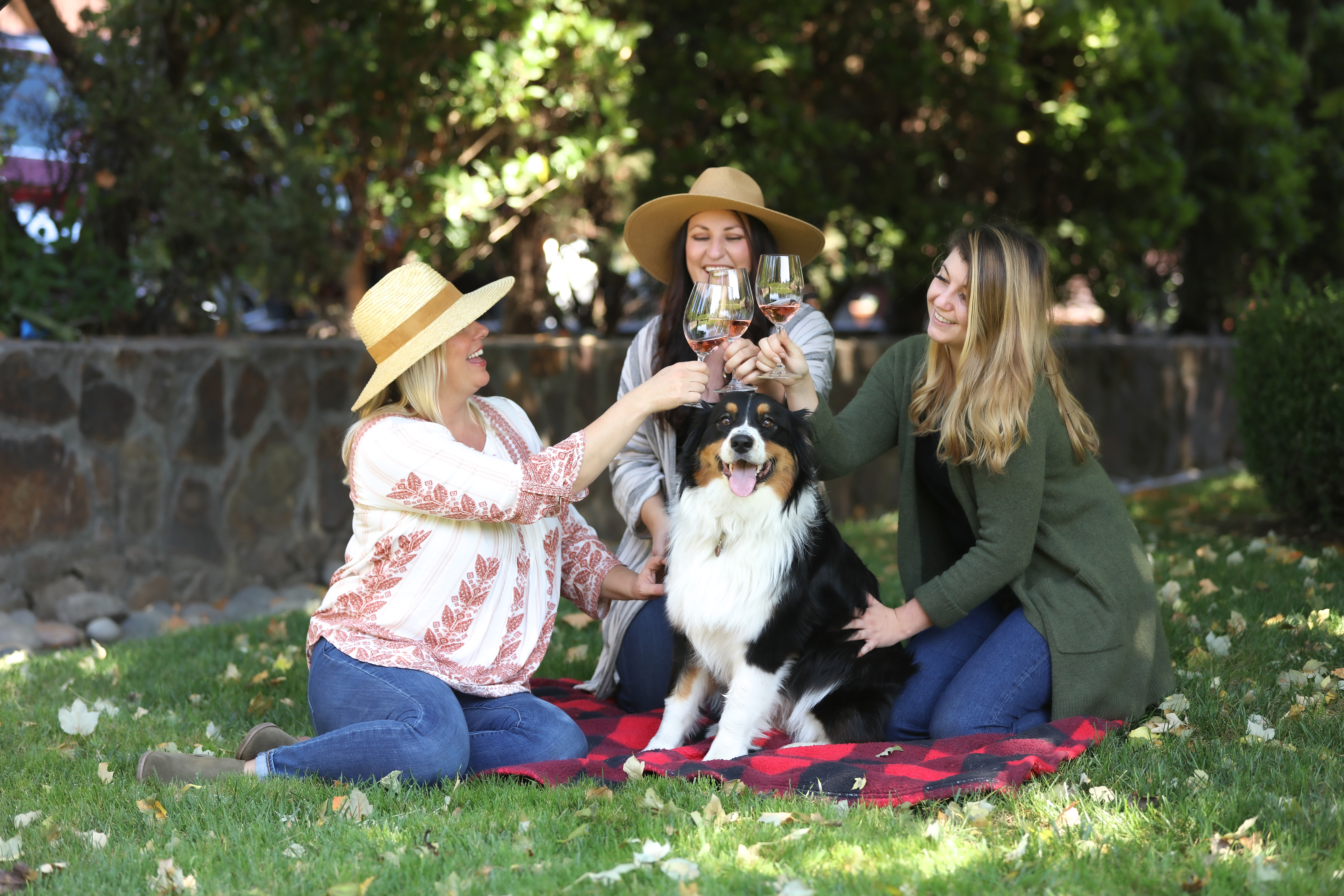 Sebastiani - A pioneering producer of Sonoma County wine
